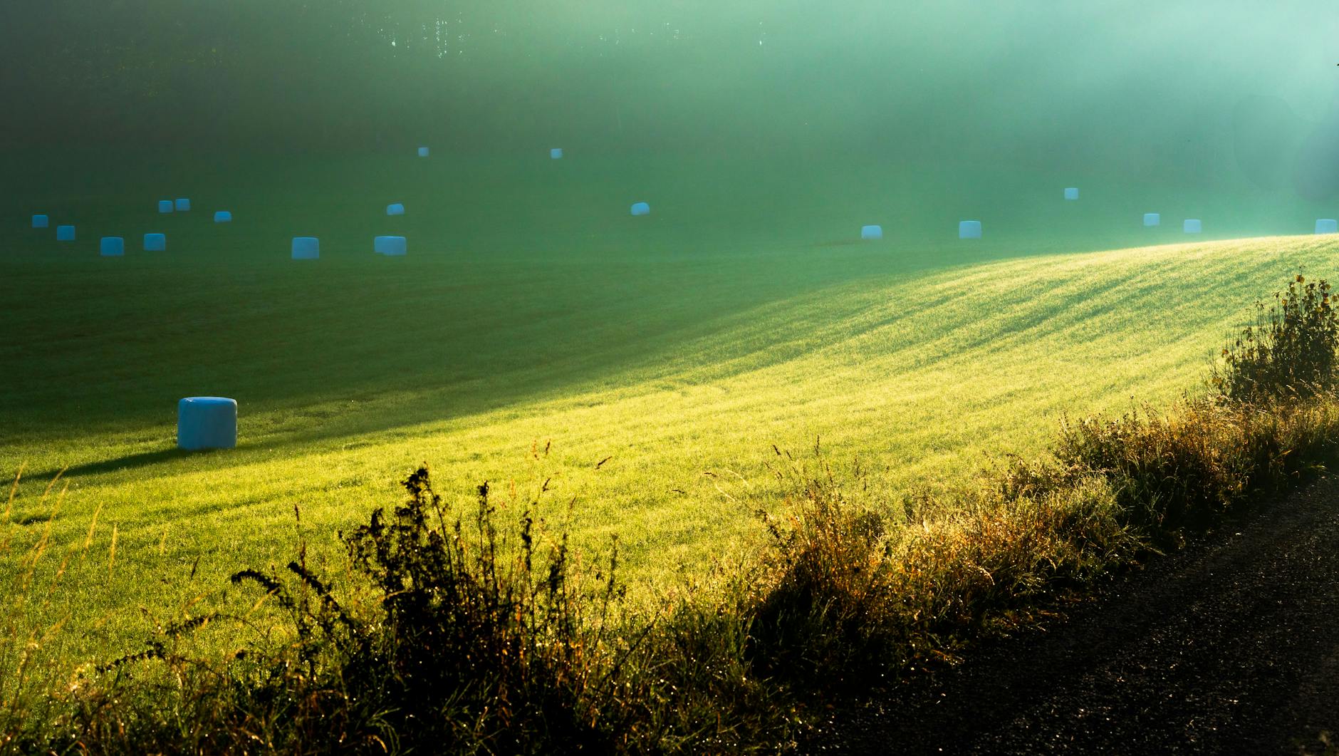 The Farmer Journal - Agricultural News, Markets & AgTech