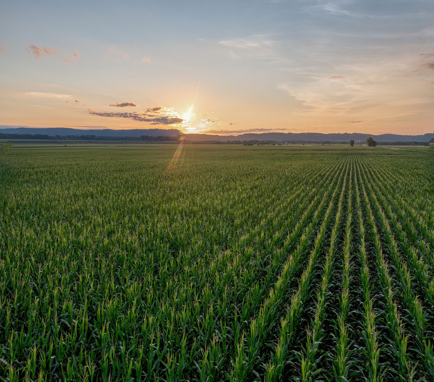 The Farmer Journal - Agricultural News, Markets & AgTech